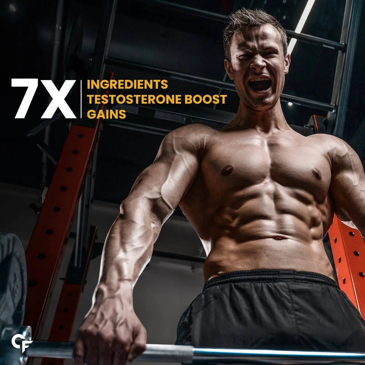 Tribulus Terrestris Testosterone Booster | 60 Veg Tablets – Halt