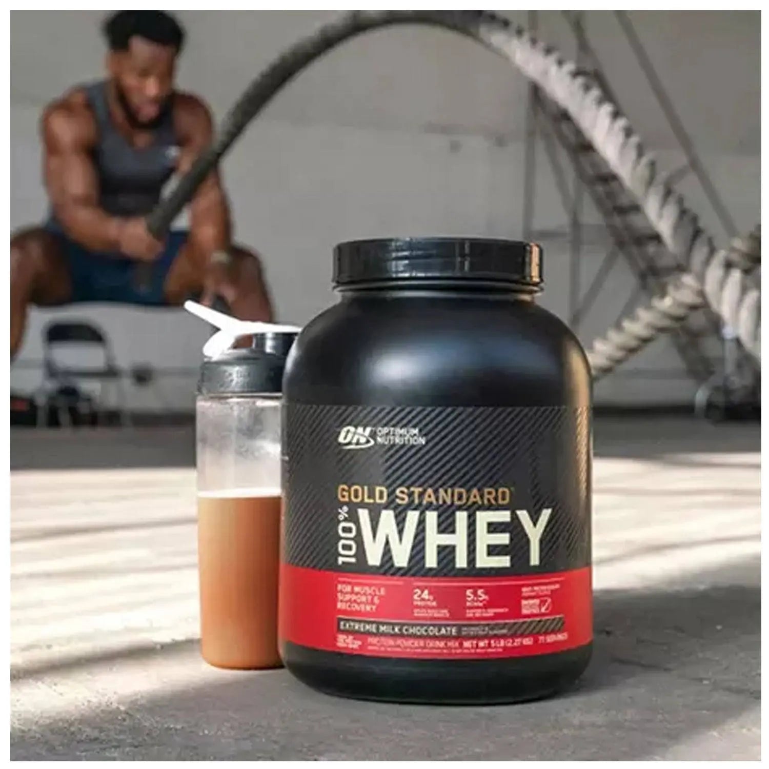Optimum Nutrition Whey Protein - Gold Standard Quality – Halt